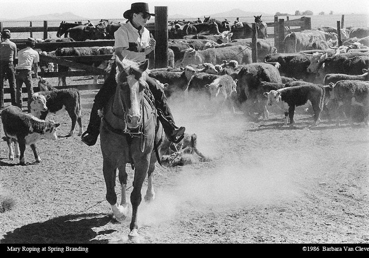 WOMEN RANCHERS - Barbara P Van Cleve