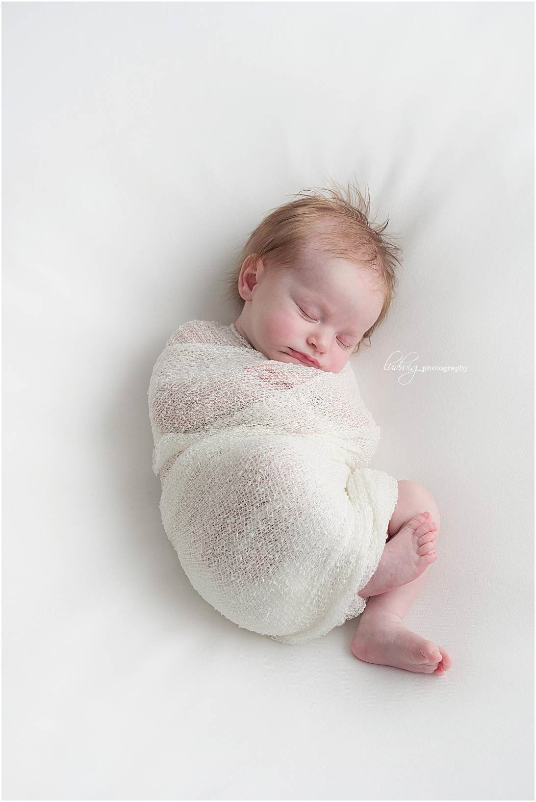 7 weeks old baby girl portrait session - Ludwig Photography