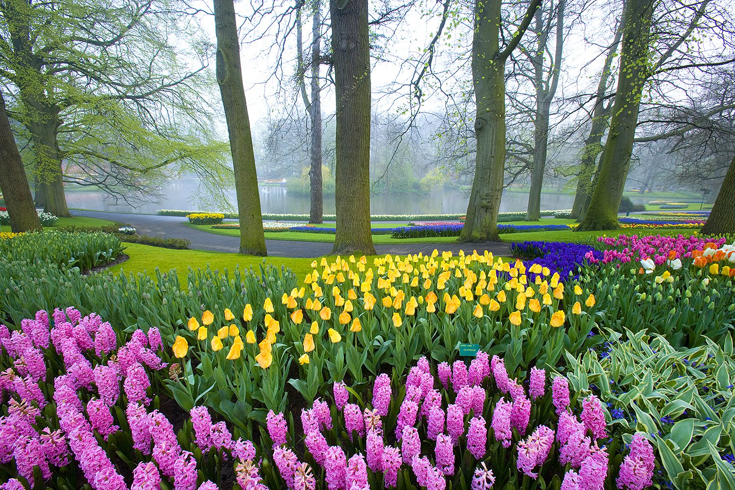 Keukenhof Gardens - Jim Zuckerman photography & photo tours