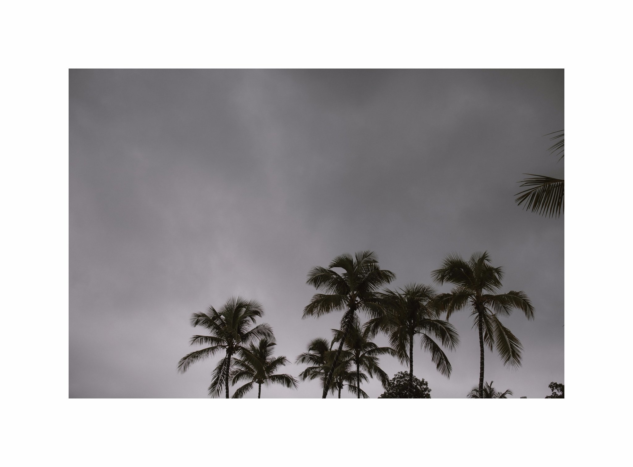 FRANCESCA + GORDON // Bahamas Destination Wedding - Joshua Kane Photography