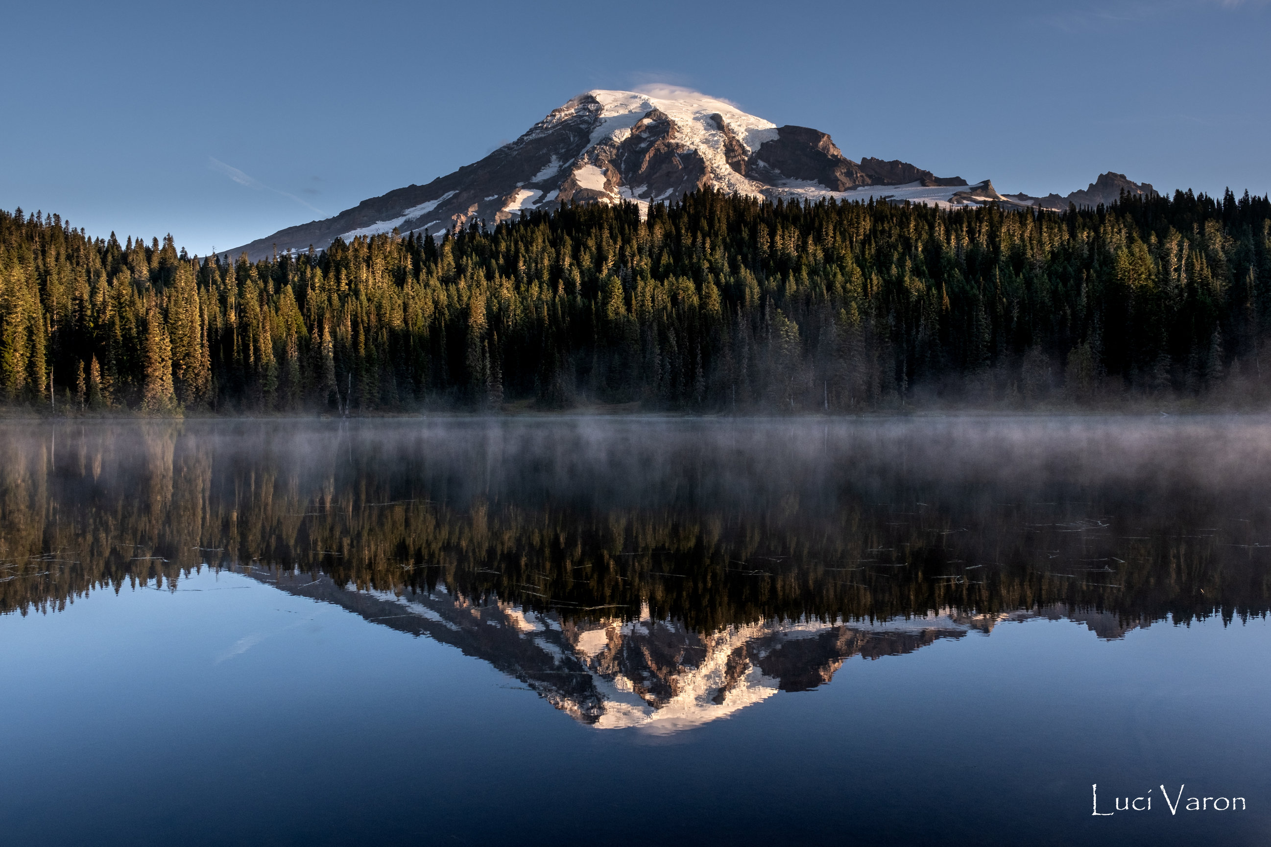 Mt Rainier: First Wild Flowers, Comet Falls, & Van Trump Park - Luci J ...