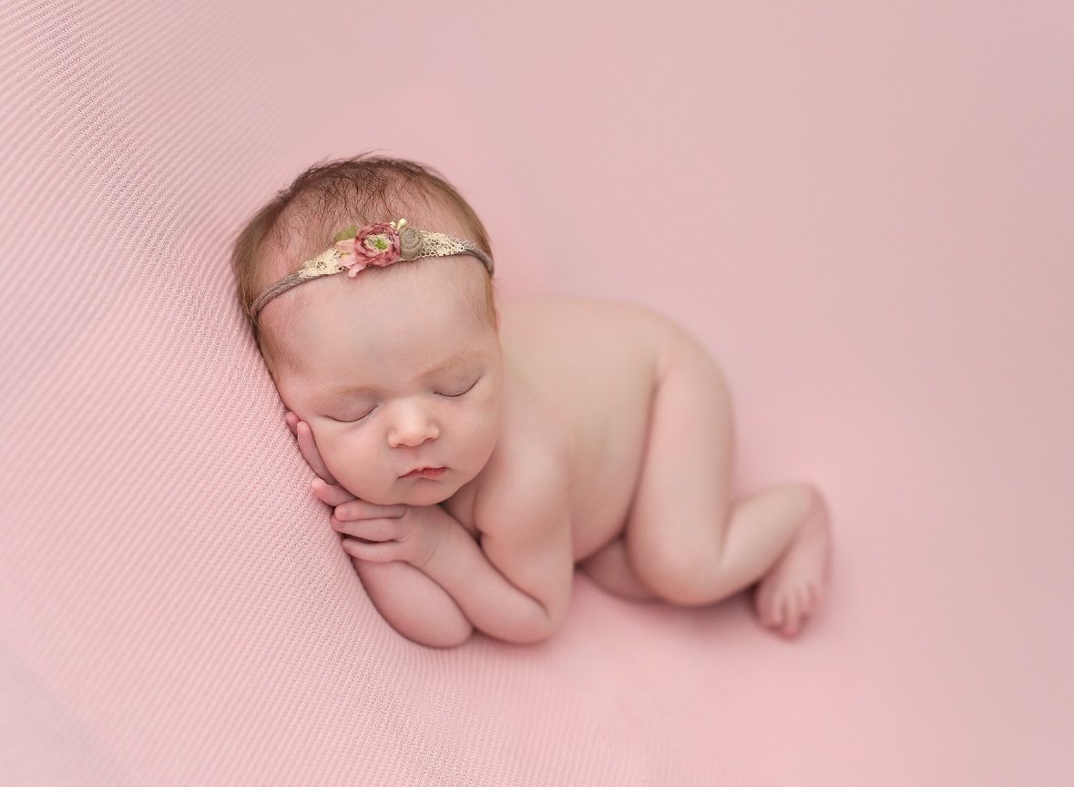 Home - Cyndi Williams Photography