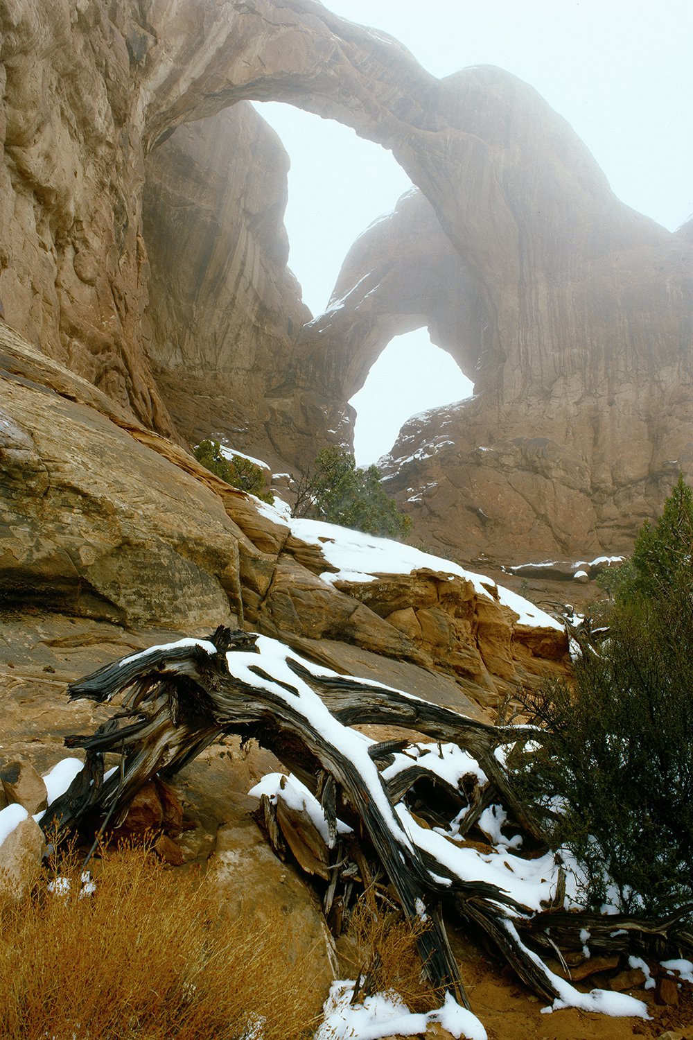 Study the viewfinder - Jim Zuckerman photography & photo tours