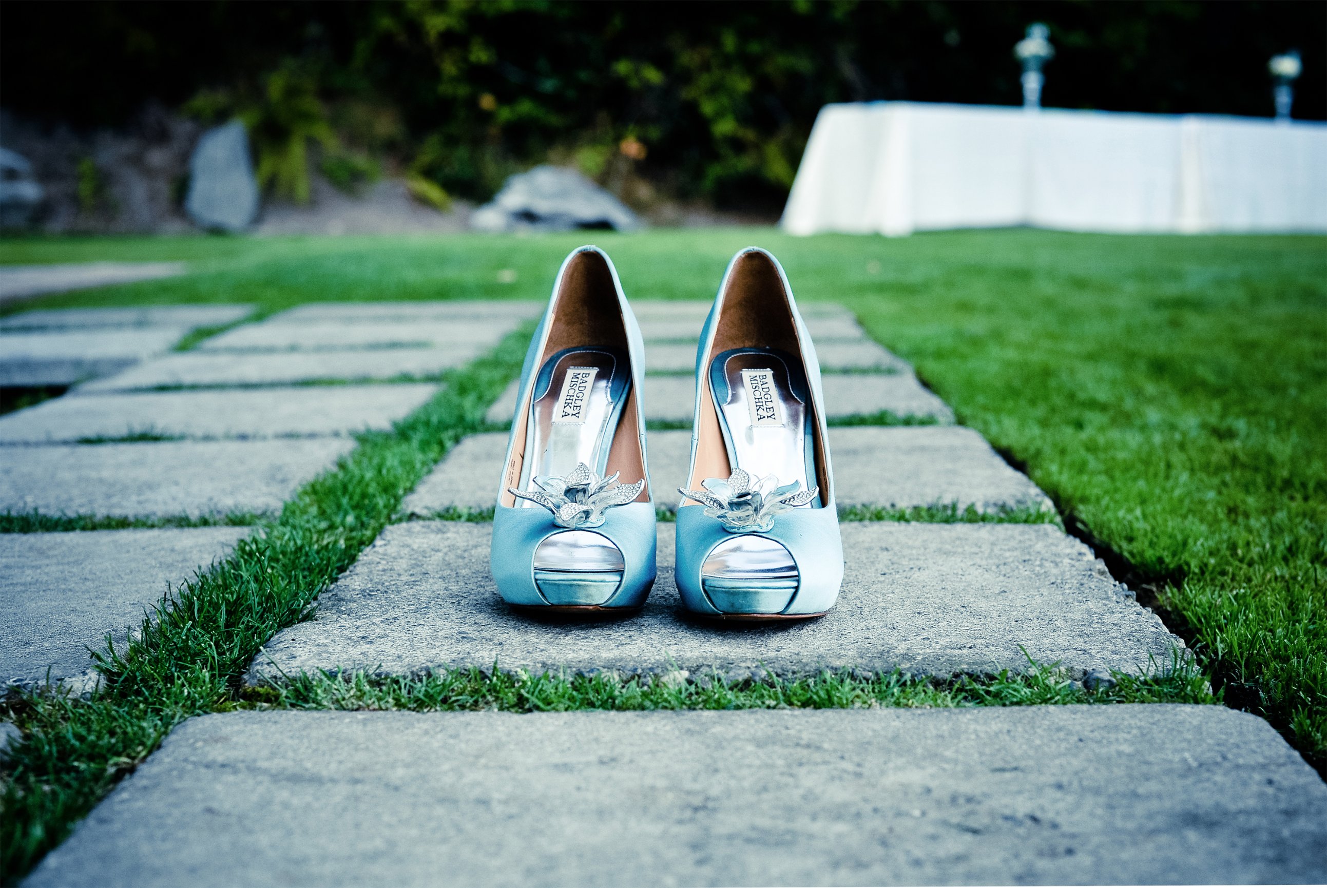 home - Gig Harbor Photography