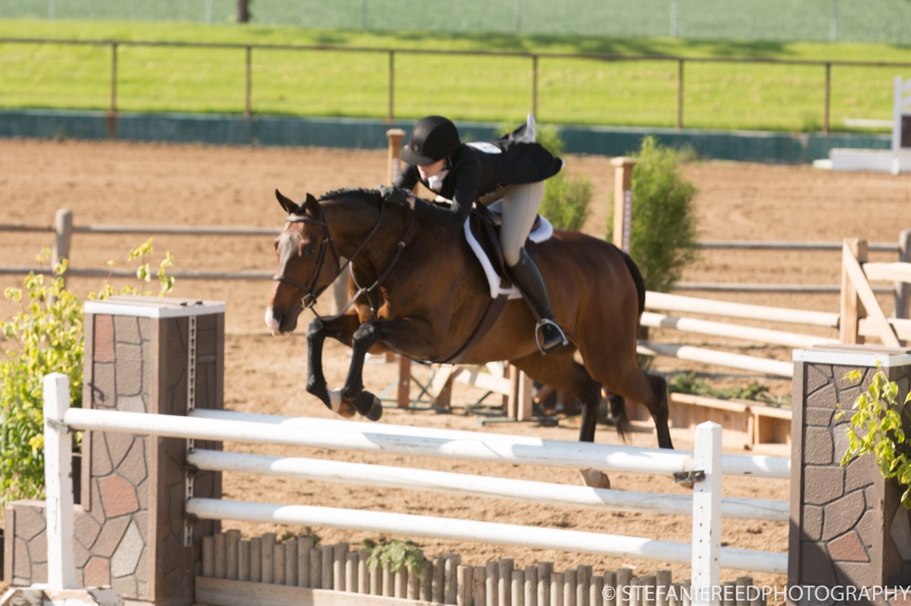BOISE SADDLE & JUMP CLUB - Boise Saddle and Jump Club