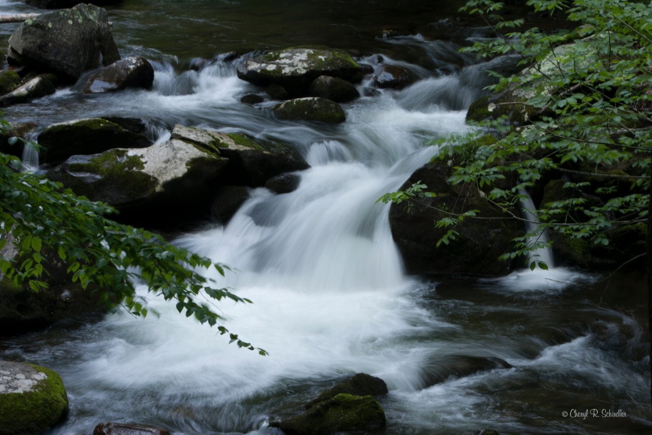 Mushin (Moo-shin) . . . the Door into the Zone - Paragon School