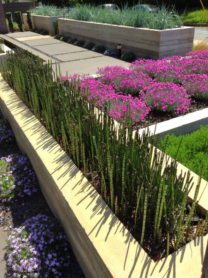 HOME - Brendan Butler Landscape Design