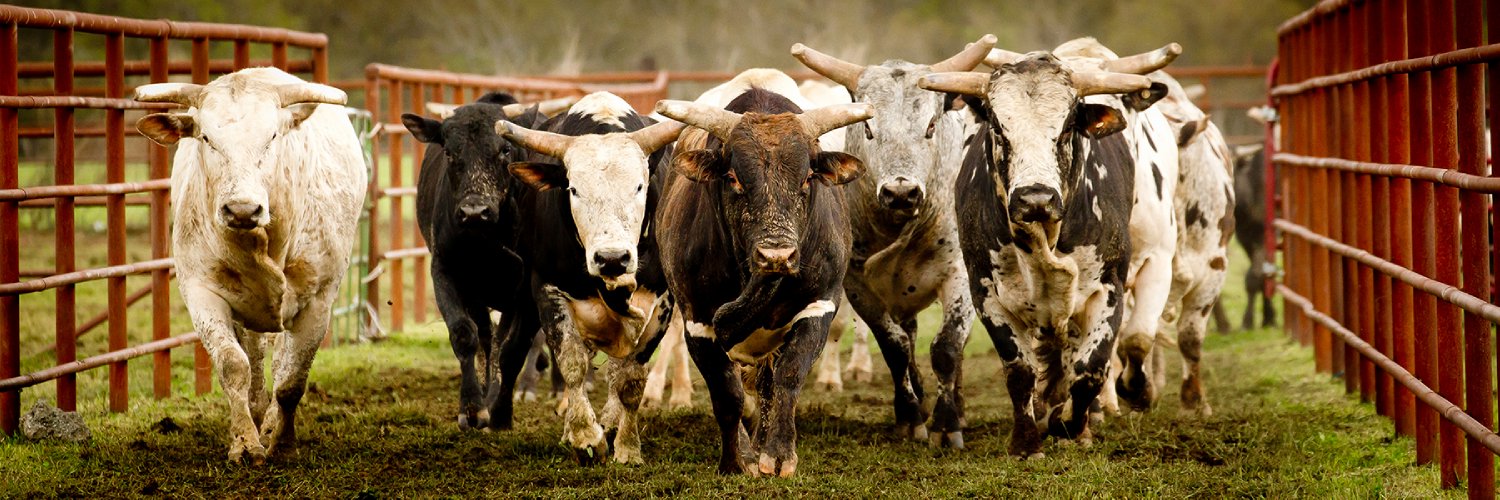 Western Lifestyle - Phillip Doyle Photography