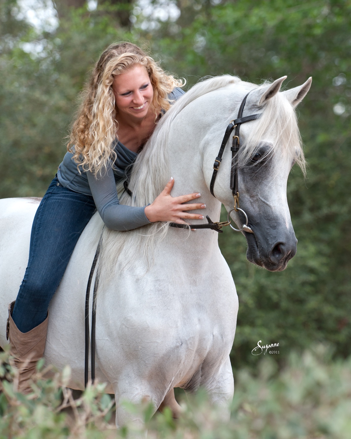 portrait gallery - EQUINE PHOTOGRAPHY by SUZANNE, Inc.