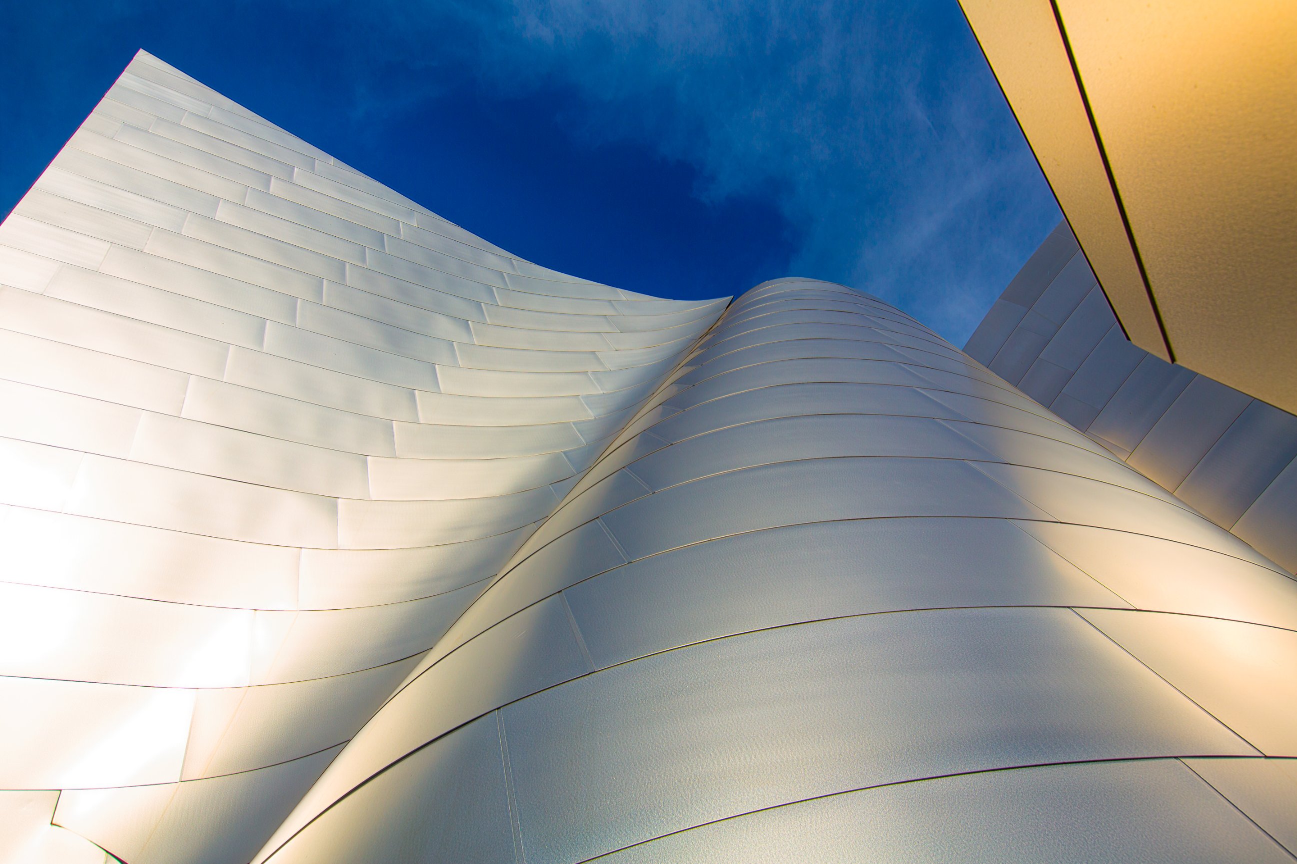 HOME - Steven Kaye Photography