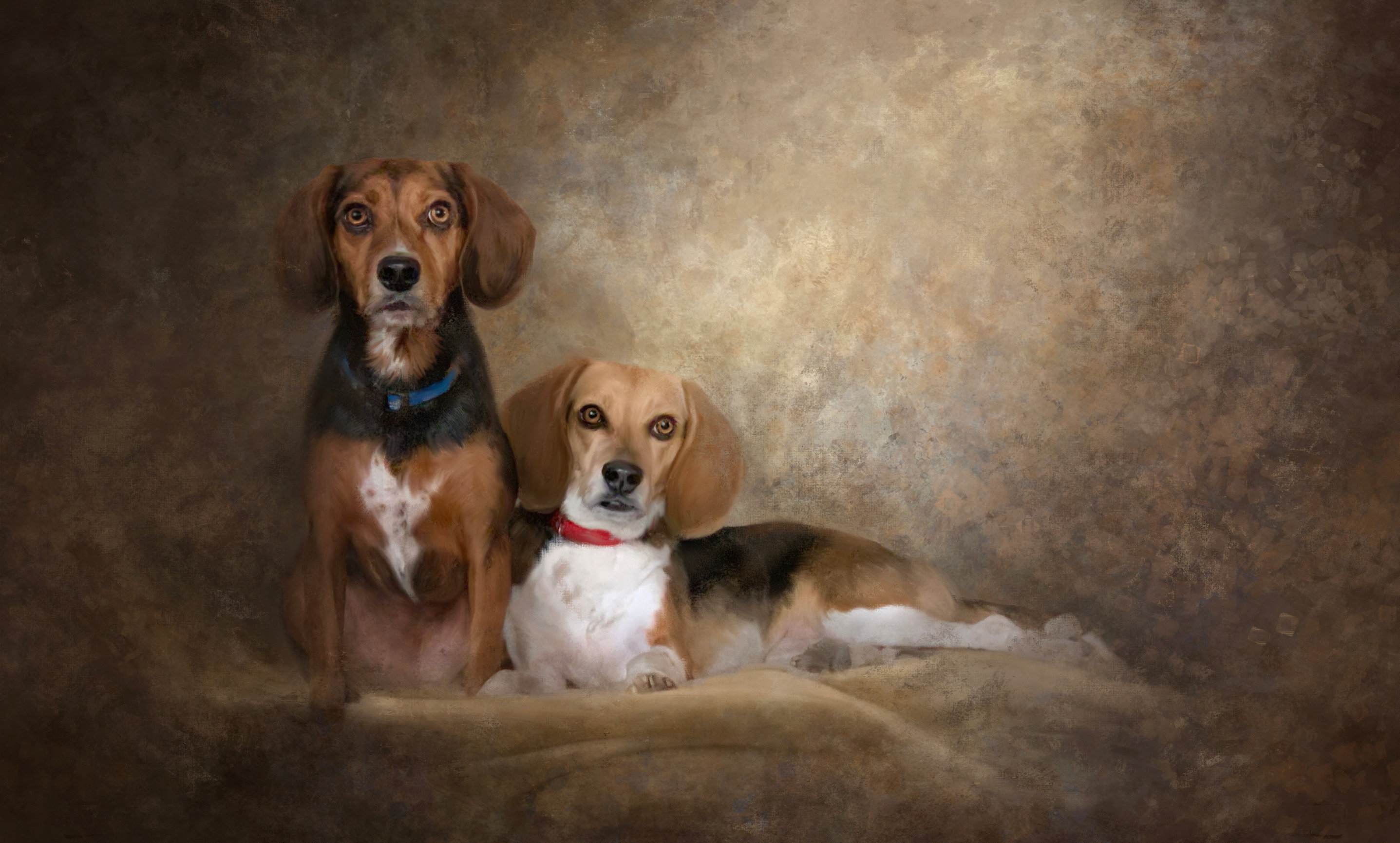 A Dog's Life - Irene M Bowers