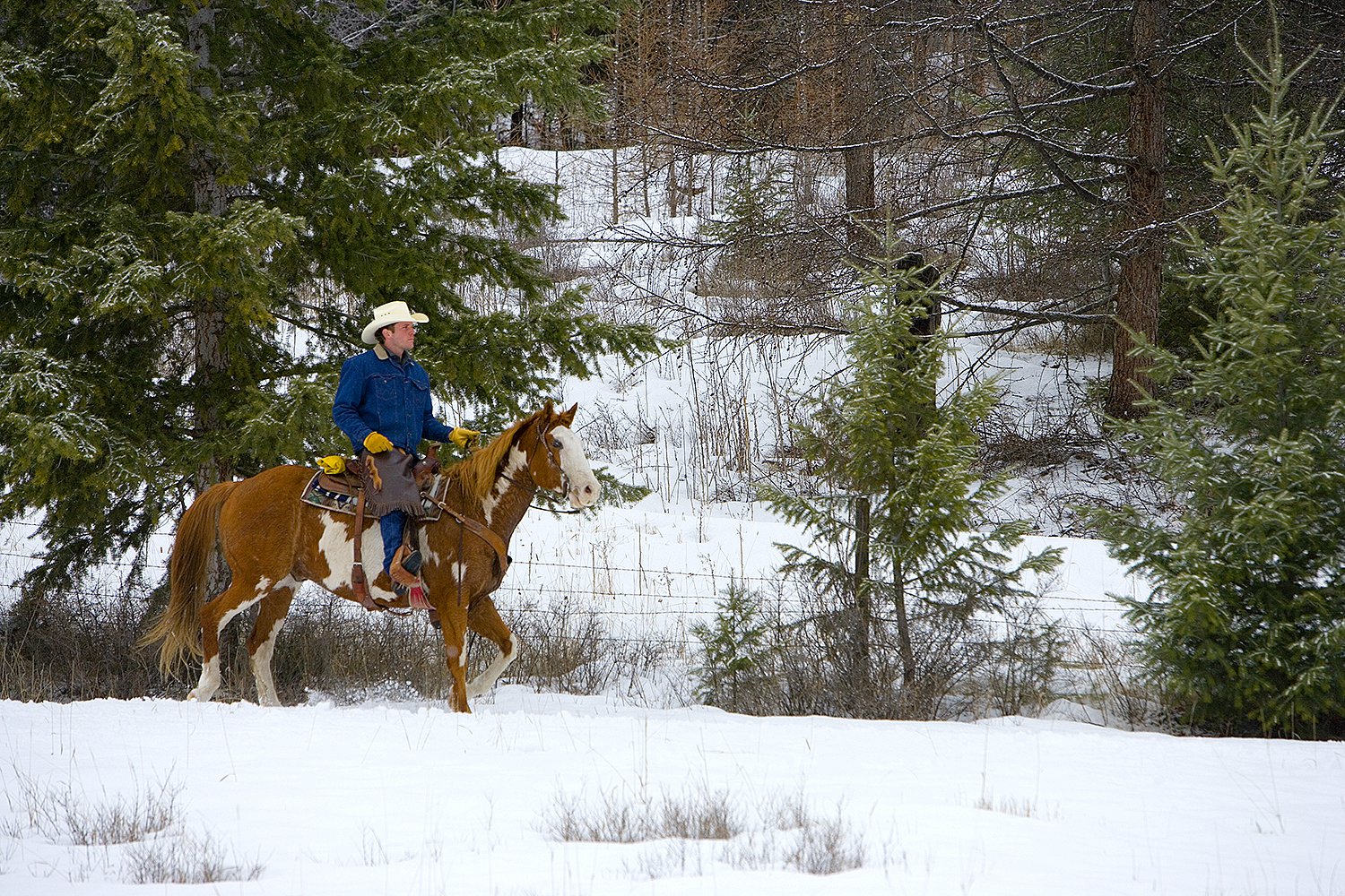 Cowboys & more - Jim Zuckerman photography & photo tours