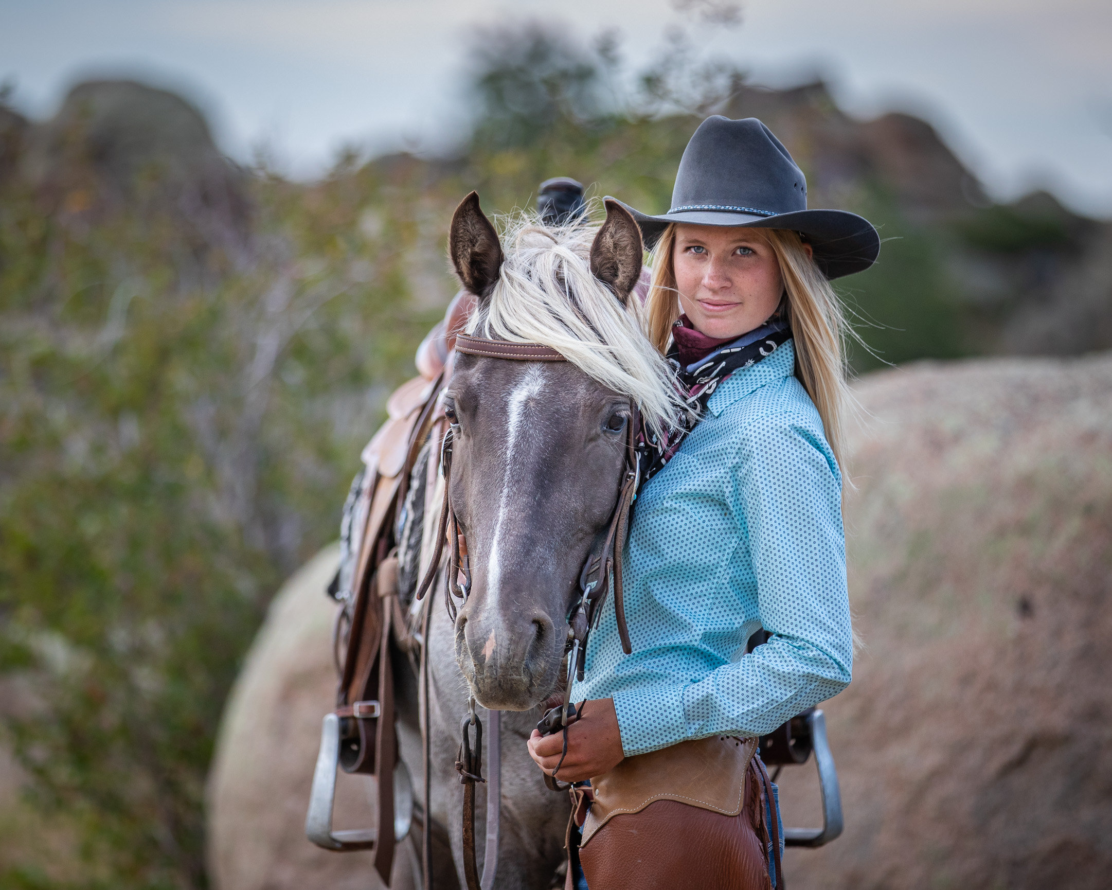 Dallas TX Equine & Equestrian Gallery | Penny Whistle Photography