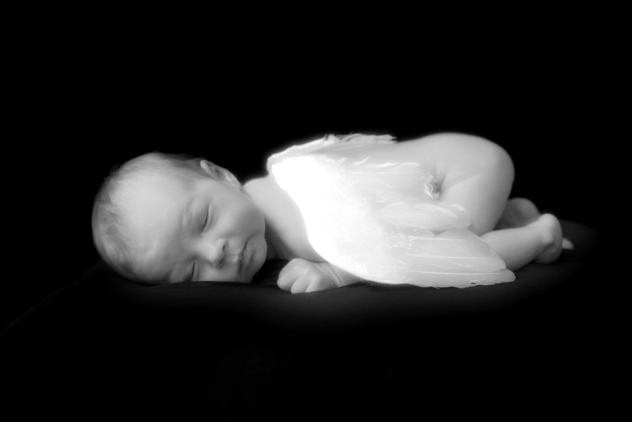 Contemporary Photography -Birth, Babies, Baby, Fashion, Boudoir ...
