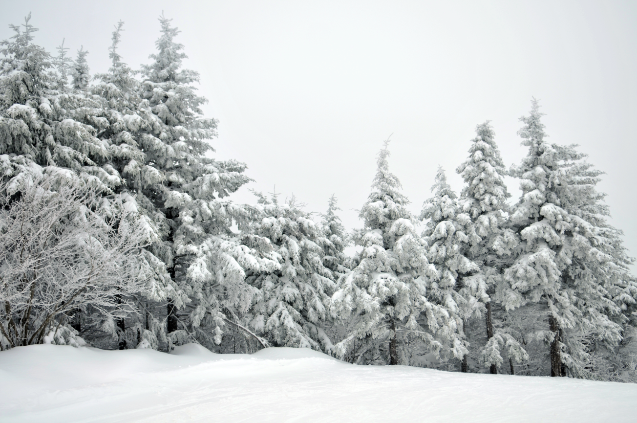 COMPOSITES: SNOW OVERLAY - Howie McCormick Photography