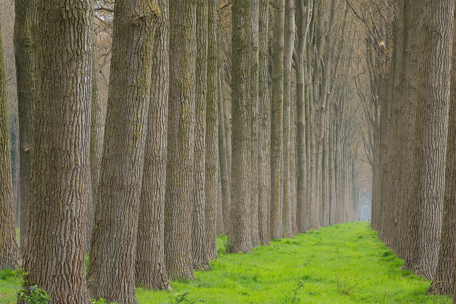 Belgium - Jim Zuckerman photography & photo tours