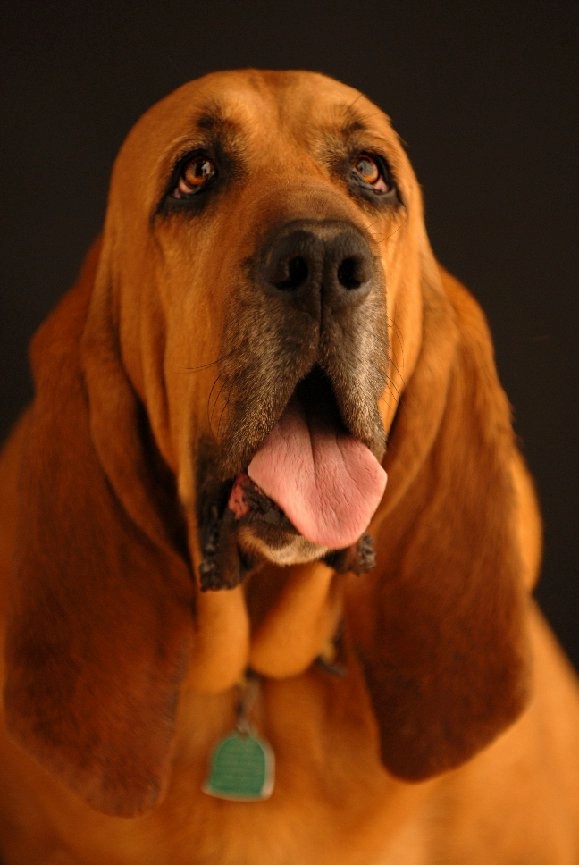 Contemporary Photography -Birth, Babies, Baby, Fashion, Boudoir ...