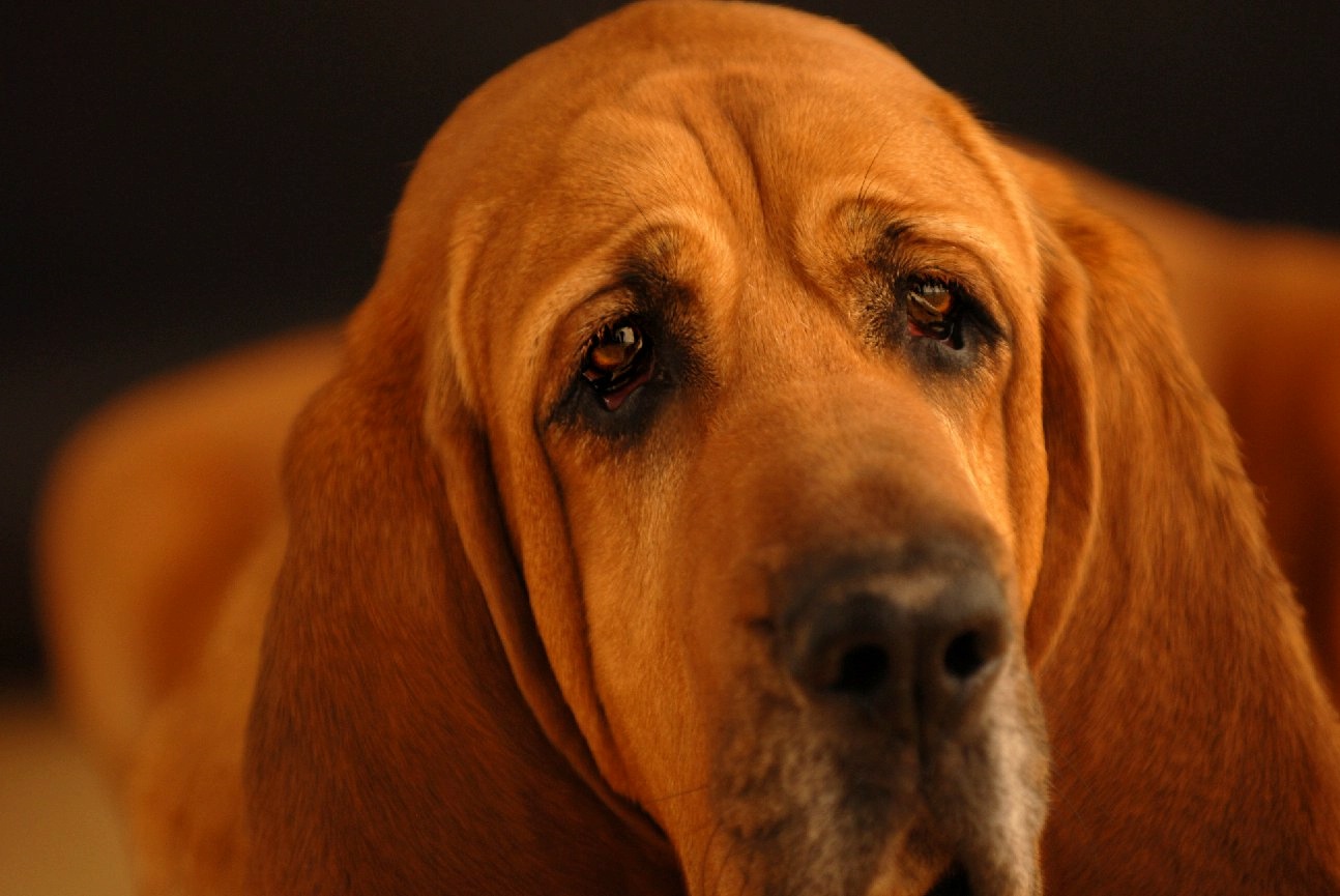 Contemporary Photography -Birth, Babies, Baby, Fashion, Boudoir ...