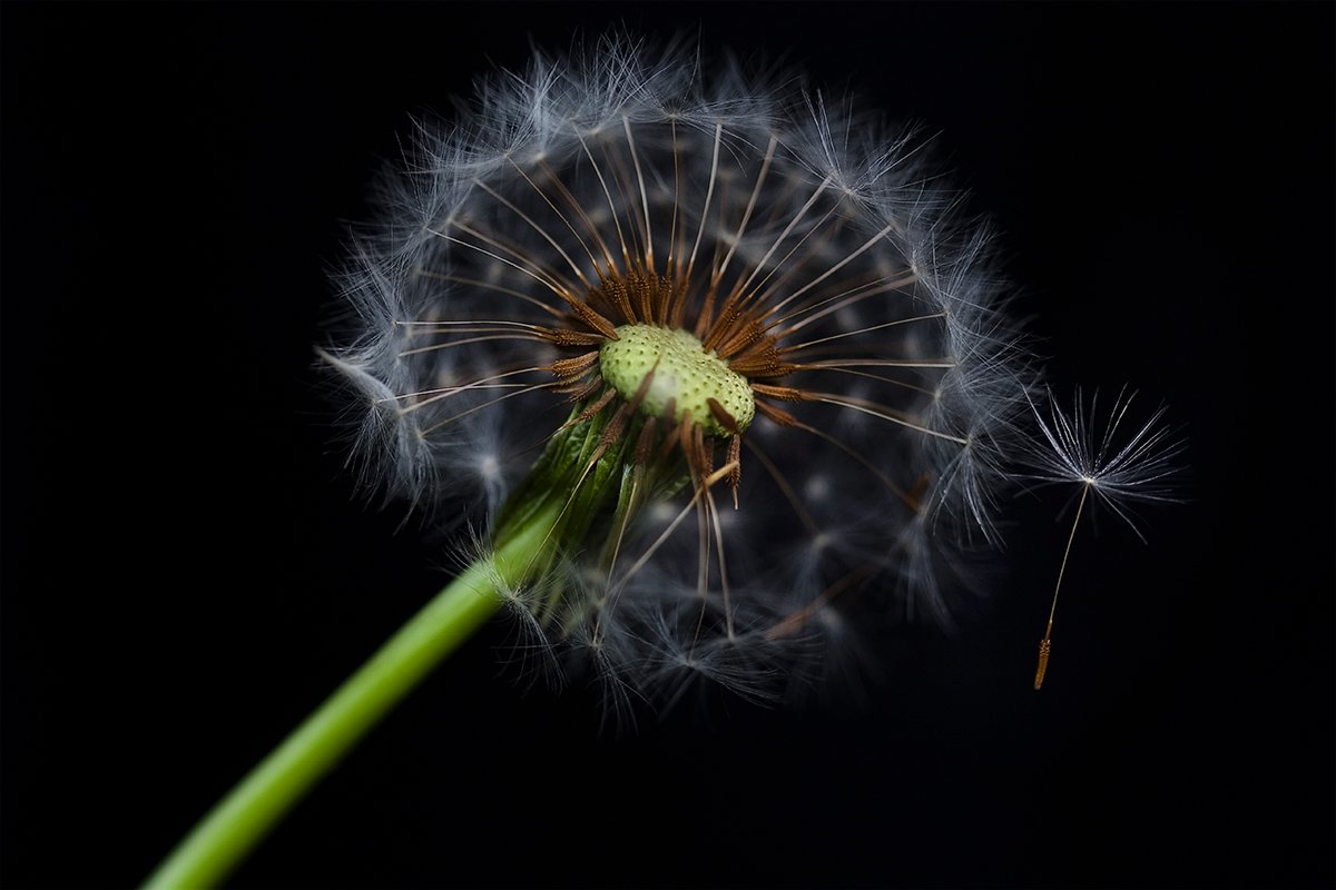 Home - michael a eaddy photography