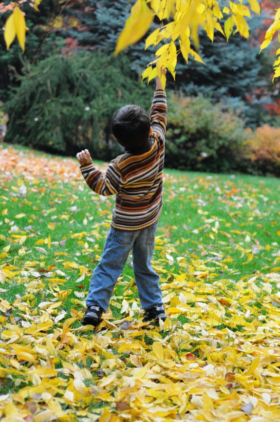 Session Info - Alison Sheehy Photography