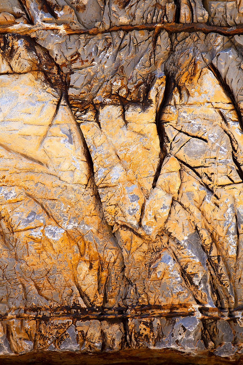 Patterns of Nature - Jim Zuckerman photography & photo tours