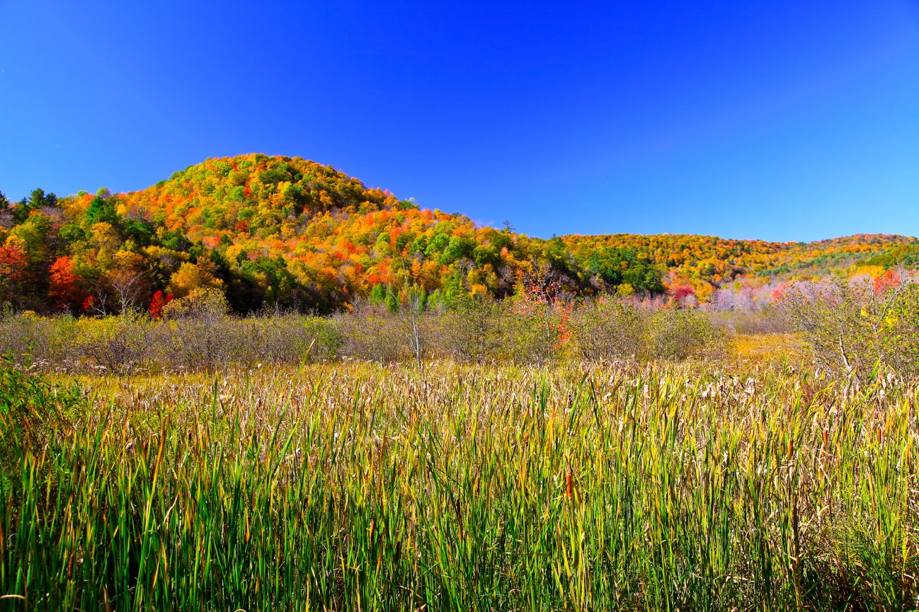 Autumn Mountainside RT 3 Vermont - Kevin Smyth Photography