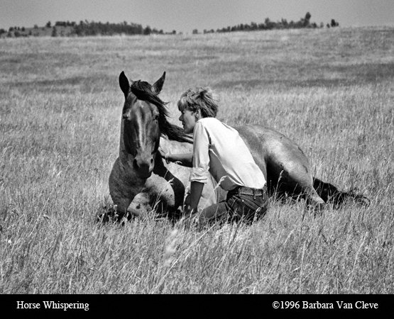 Horse Whispering - Barbara P Van Cleve