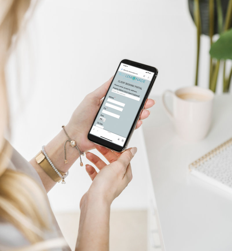CLIENT BOOKING PORTAL - Blu Lemonade Photography