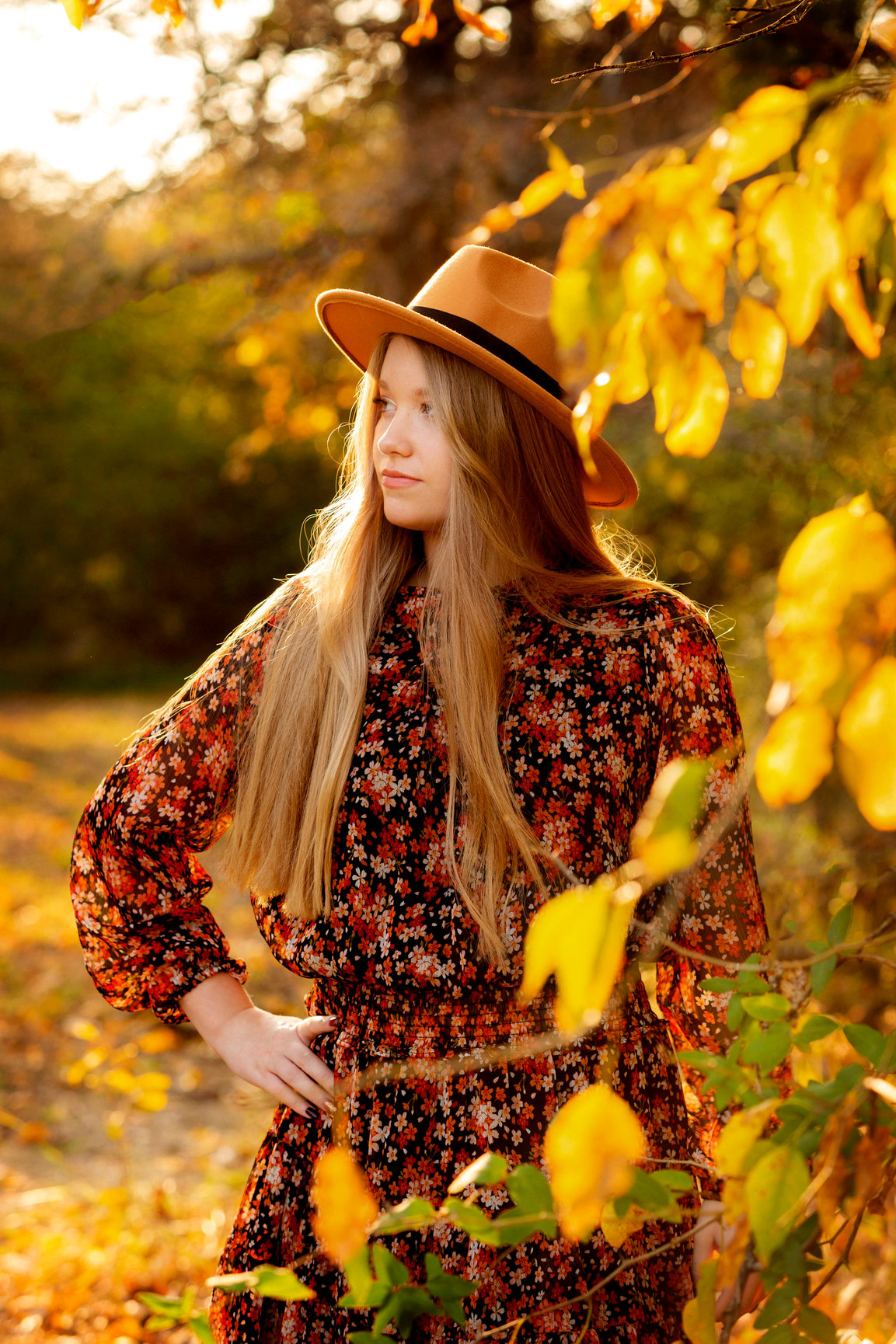 HOME - Shawn Hodges Photography