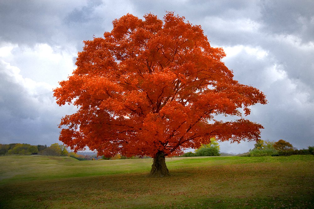 Landscapes - Jim Zuckerman photography & photo tours