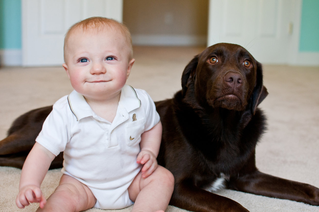 Family Photography - Gallery by Laura Photography