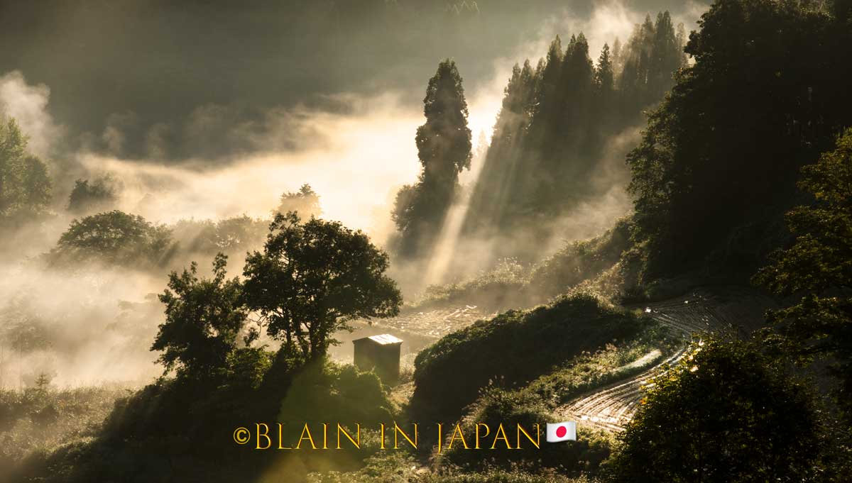 Rice Terraces in Niigata Japan - Blain Harasymiw Photography