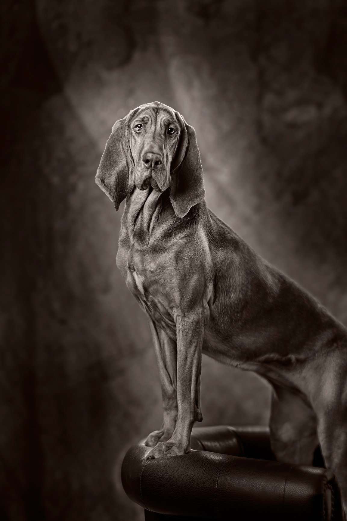 HOME - Icon Studio Portrait Design, Inc