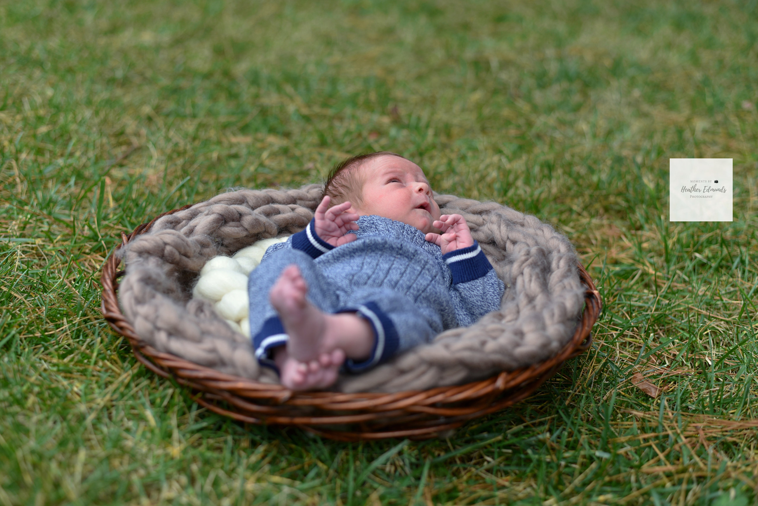 The Snodgrass Family - Moments by Heather Edmunds & Company