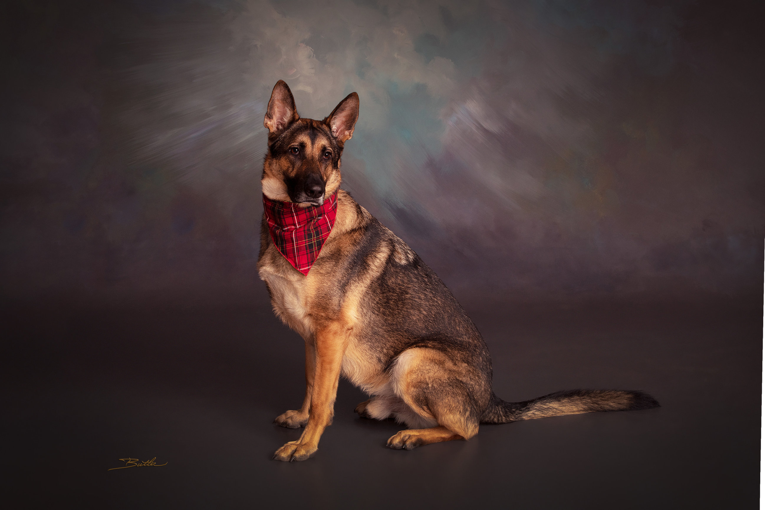 Types of Sessions - Butler Portraits