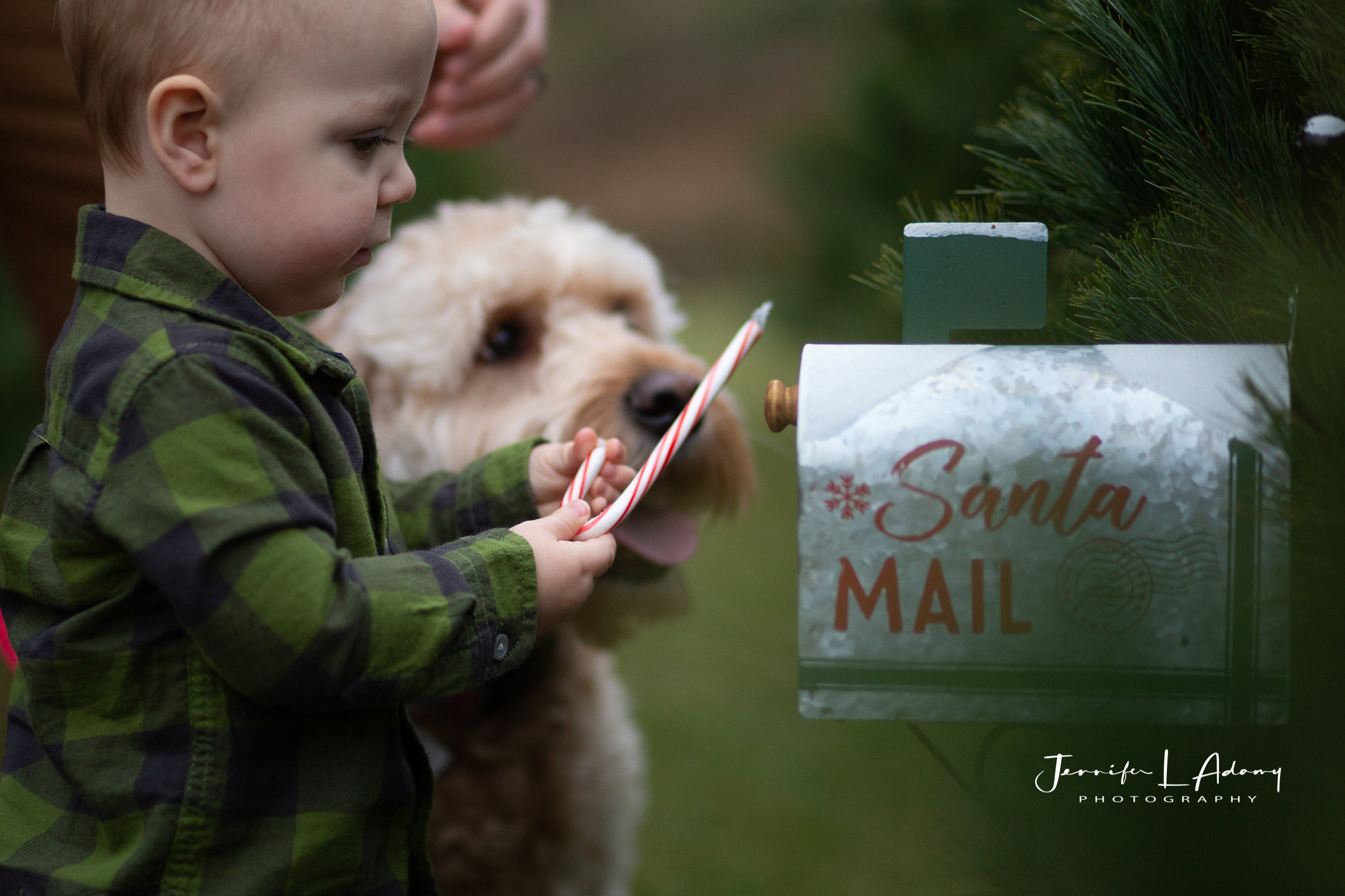 PORTFOLIO - Jennifer L Adamy Photography