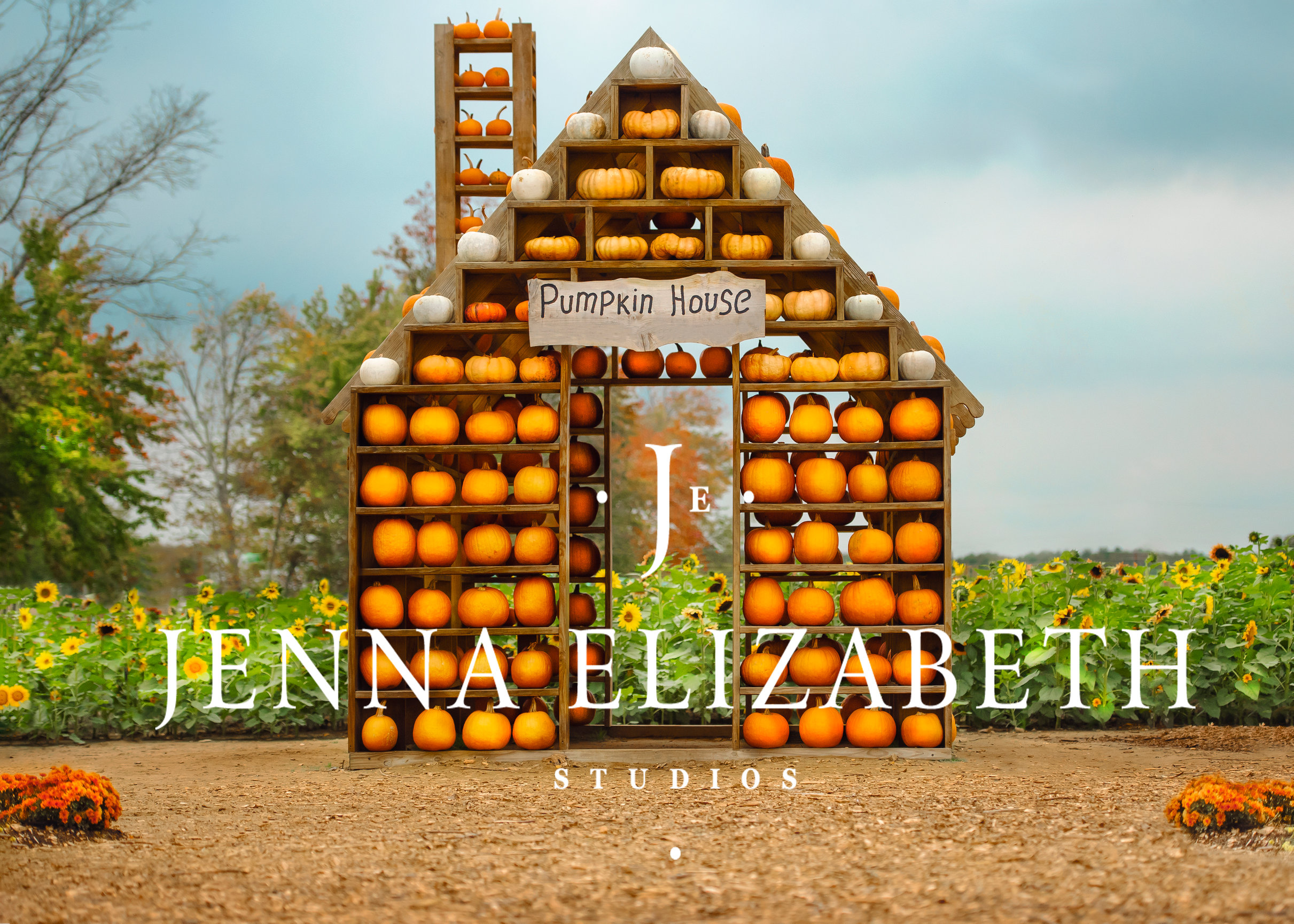 JES Pumpkin House Bundle Digital Backdrop - Jenna Elizabeth Studios