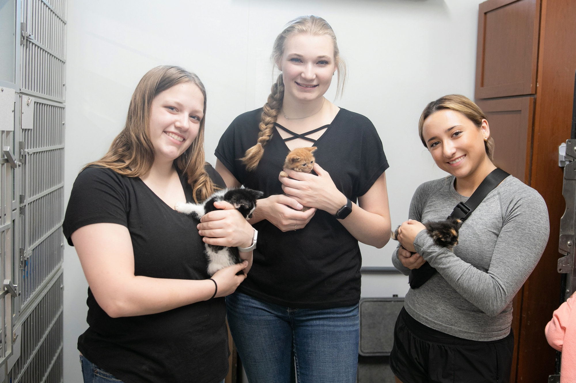 Icon Team Made A Heartwarming Visit to Moffit's Animal Shelter - InSite ...