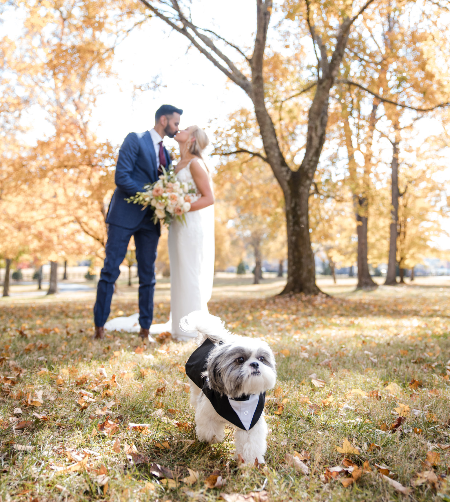Bride & Groom Gallery | Matt Andrews Photography | Nashville, TN