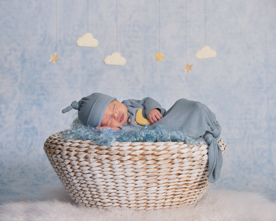 OVERVIEW - Milestone Portrait Art & Design