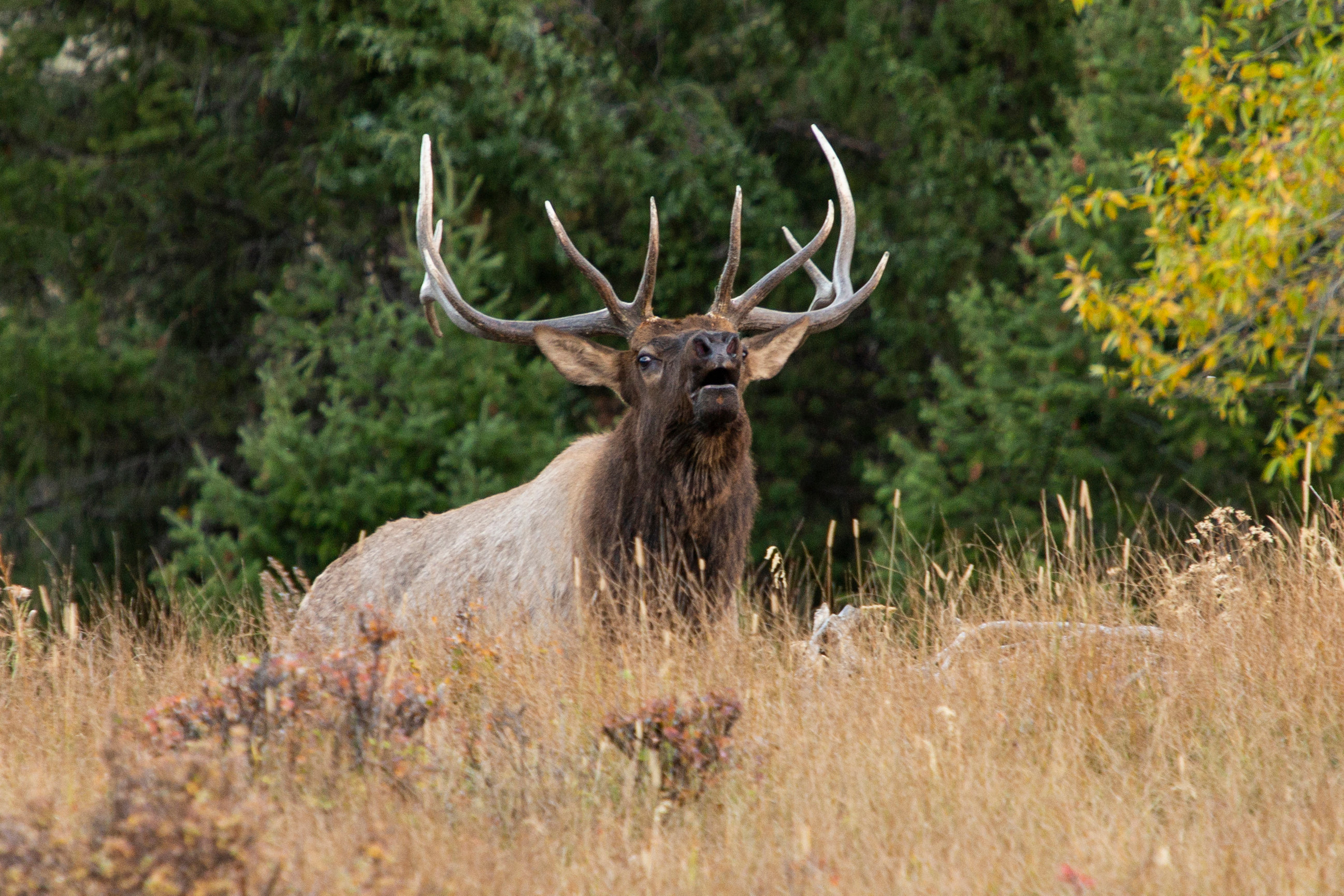 Nature Exposed Tours