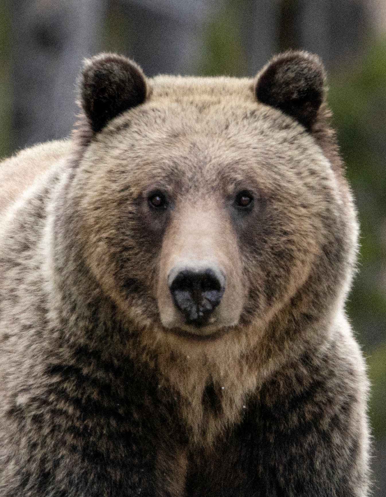 Nature Exposed Tours