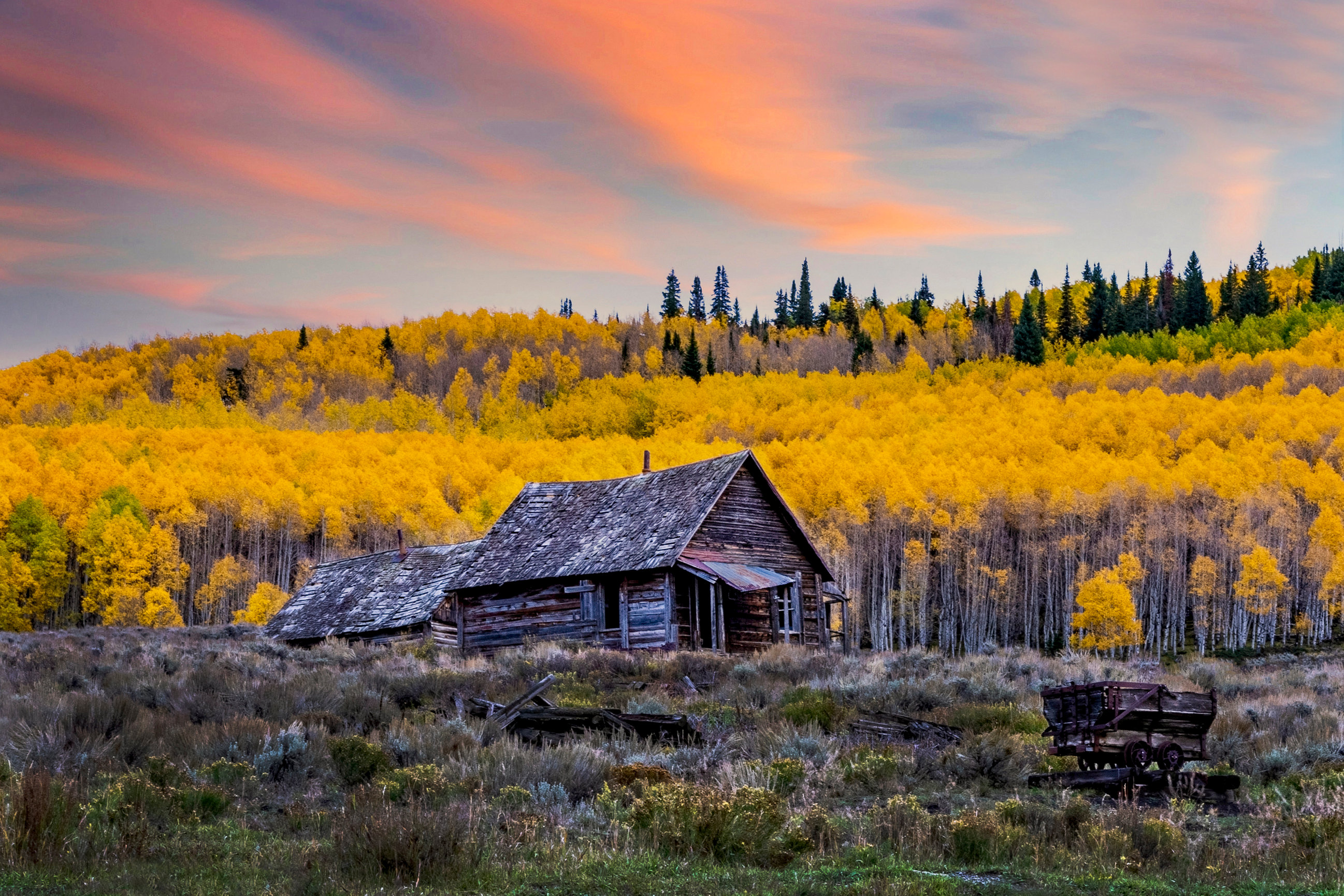 Nature Exposed Tours