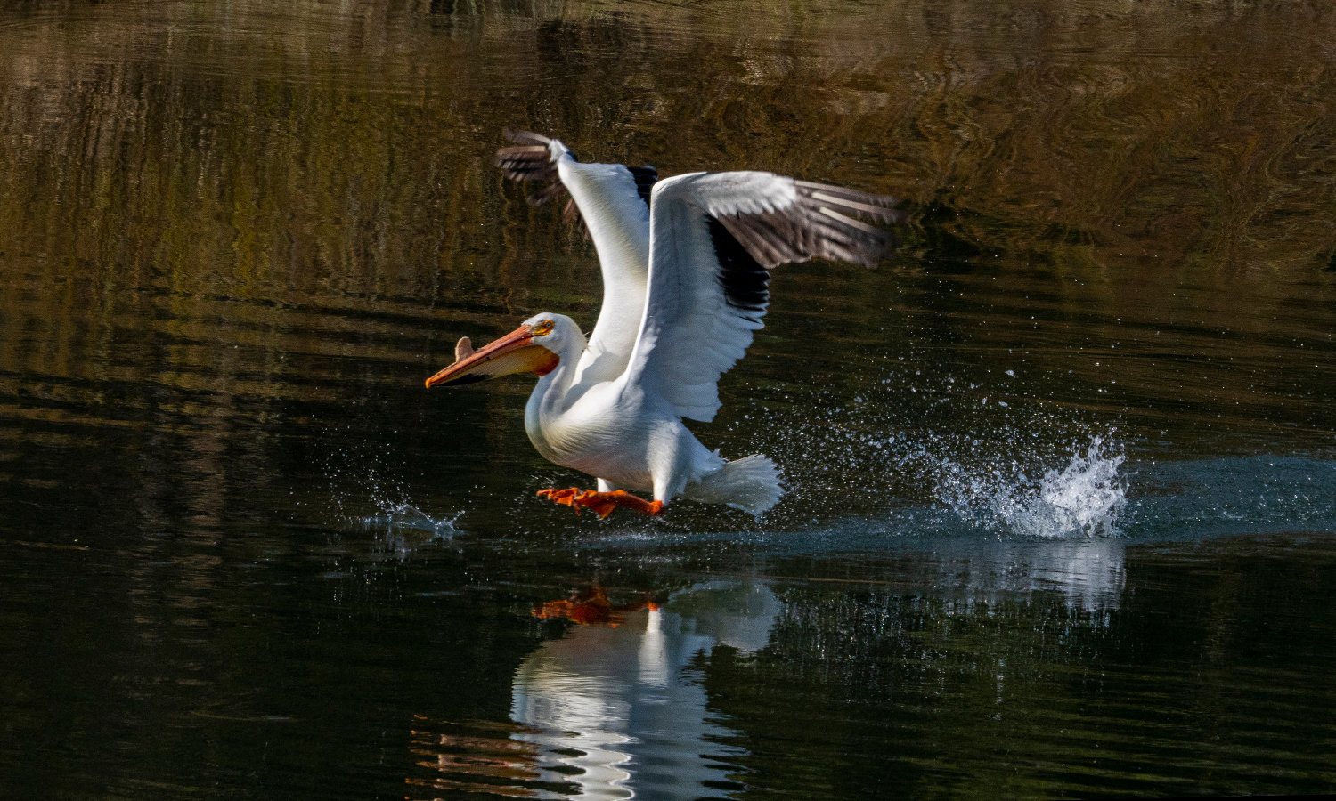 Nature Exposed Tours