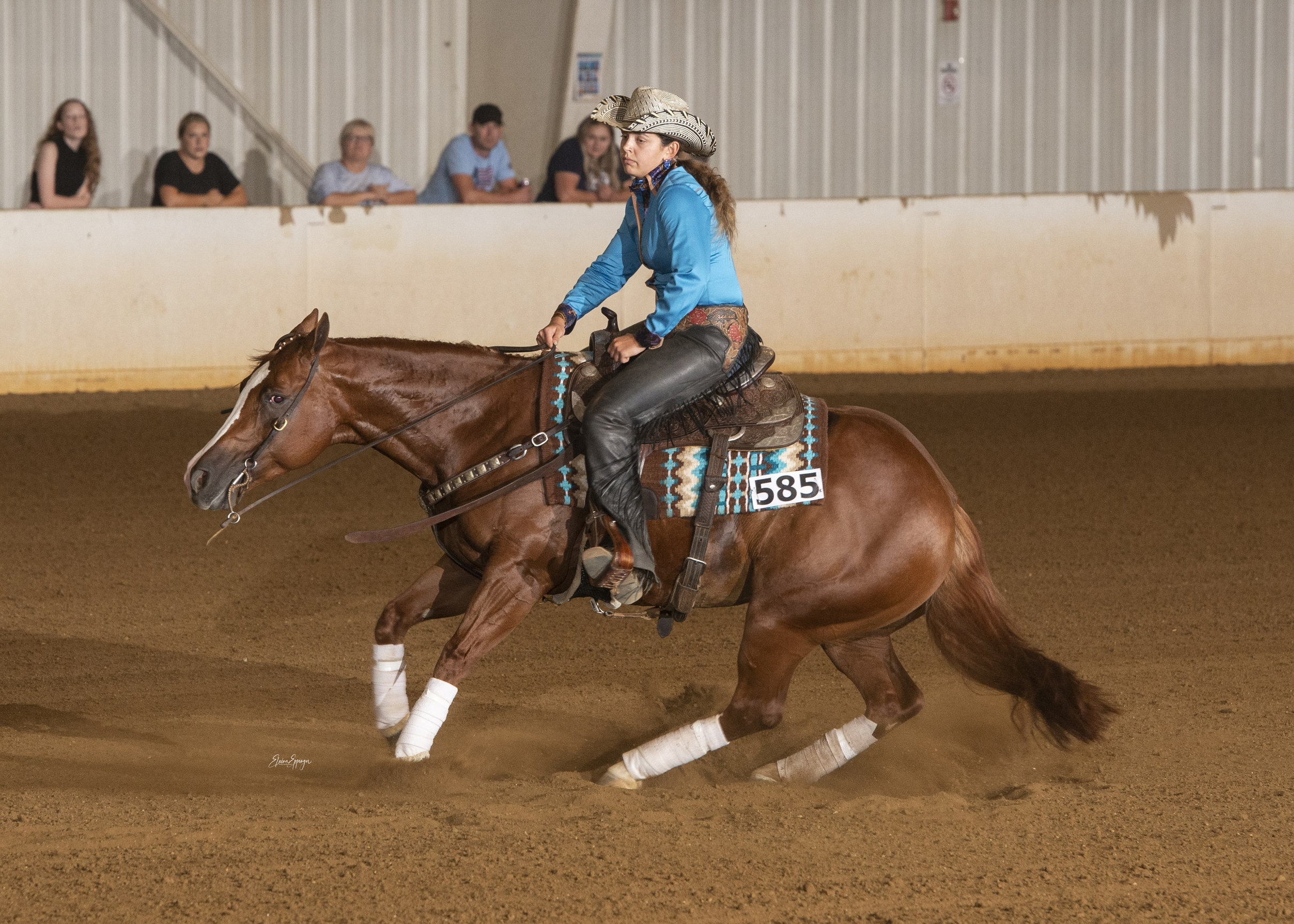 Wedding, Senior & Horse Show Photographer in Butler & Pittsburgh PA
