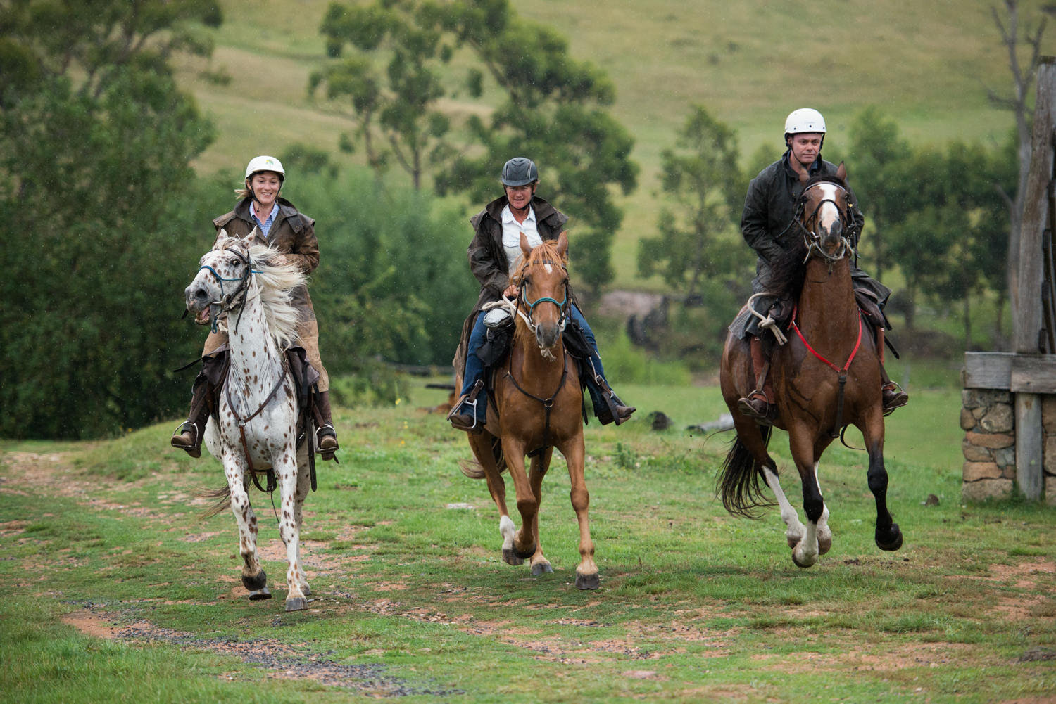 Packers High Country Horse Treks | Victorian High Country