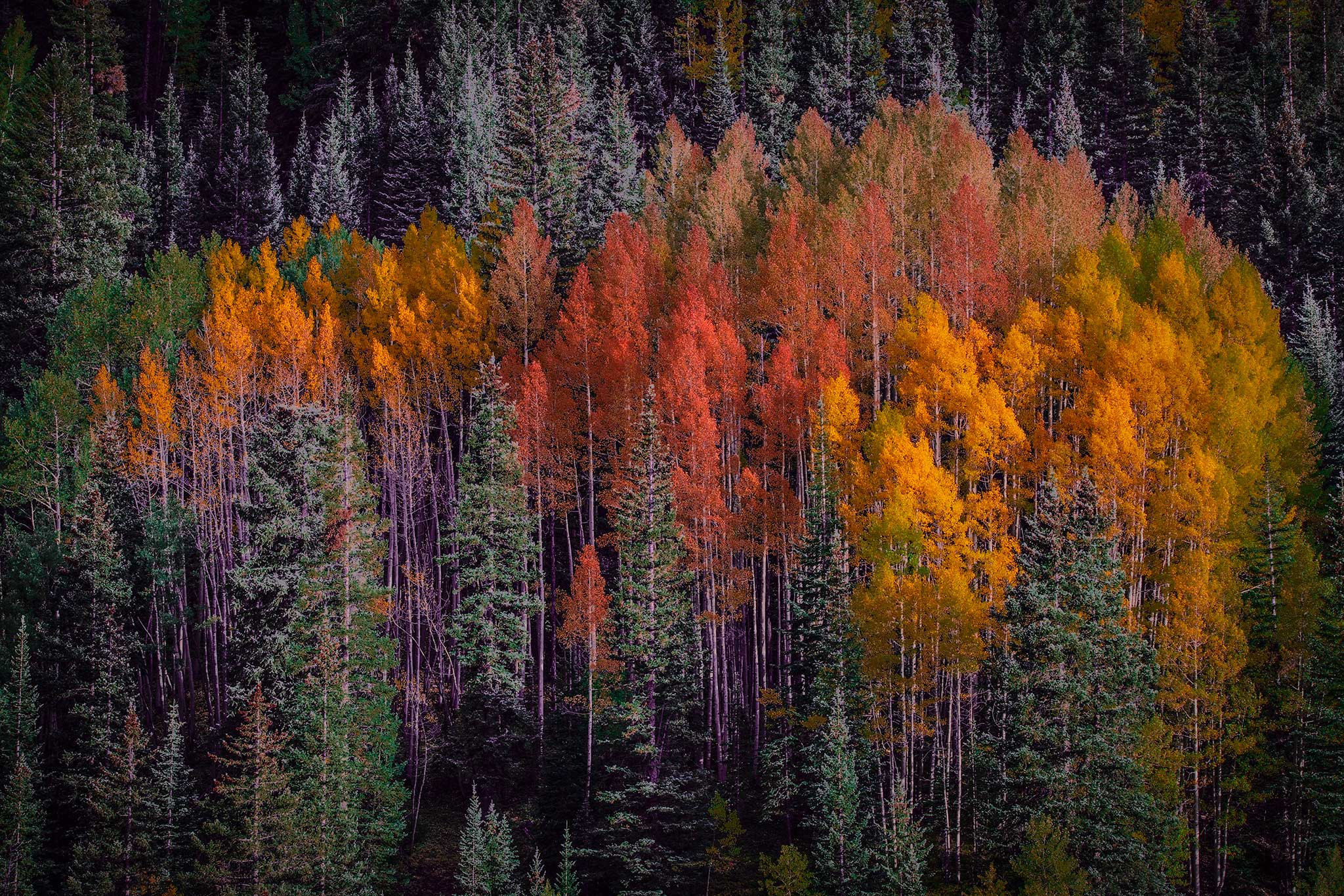 CREATING DEPTH - Rob Strain Fine Art Photography & Workshops