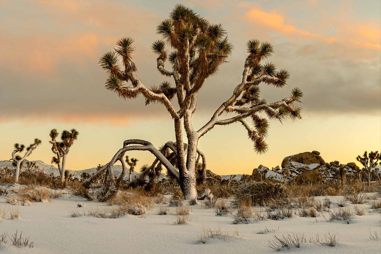 Rob Strain - Southwest Fine Art Photography