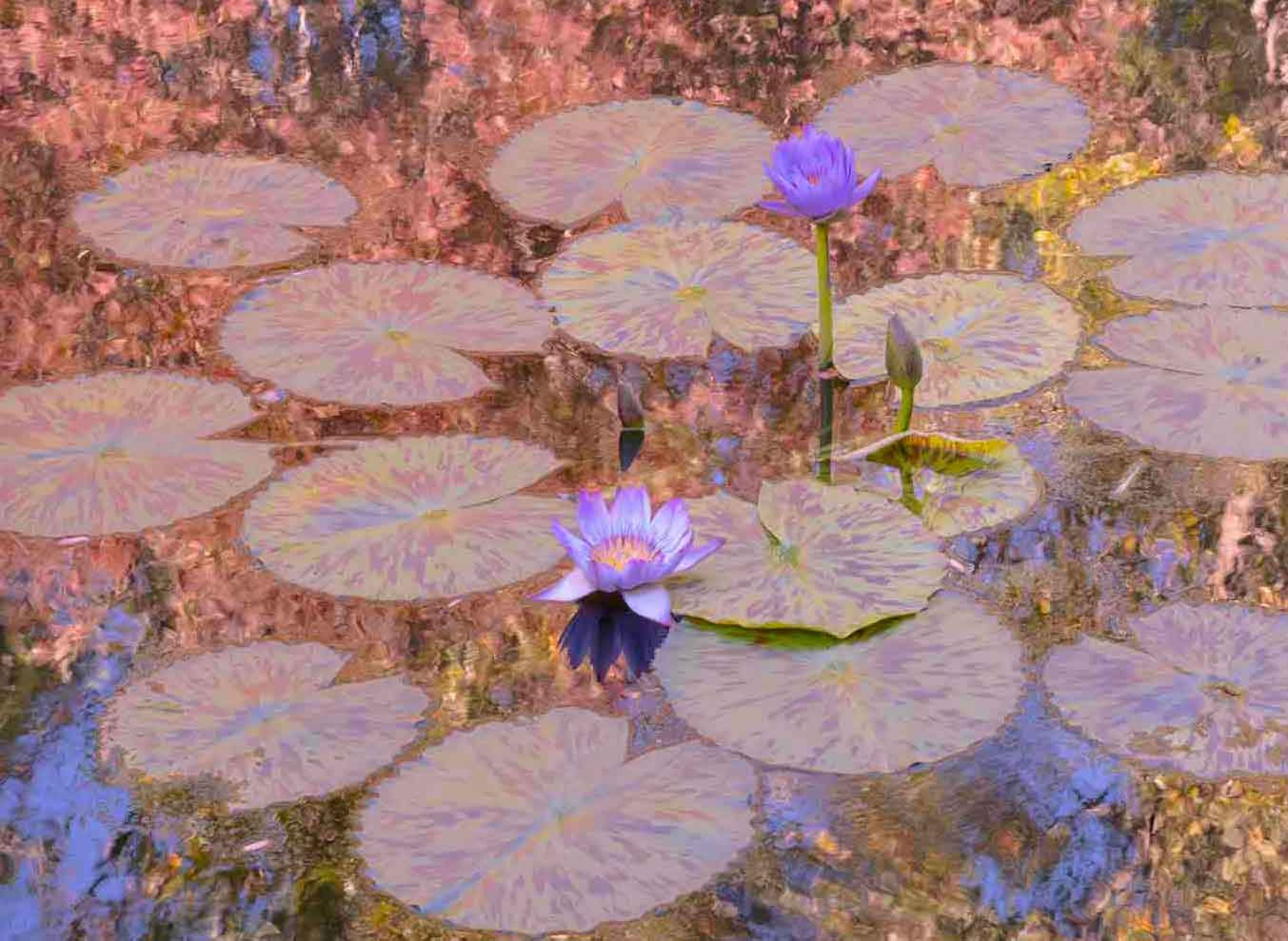 SATURATED PHOTO MARKET - Rob Strain Fine Art Photography & Workshops