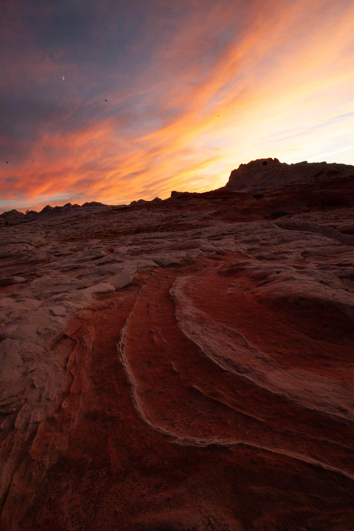 SEEING SPOTS - Rob Strain